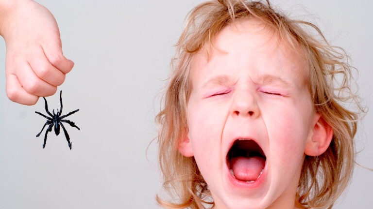 Test de fobias: ¿Tienes miedo a algo? | Curiosidades | Mujer con salud